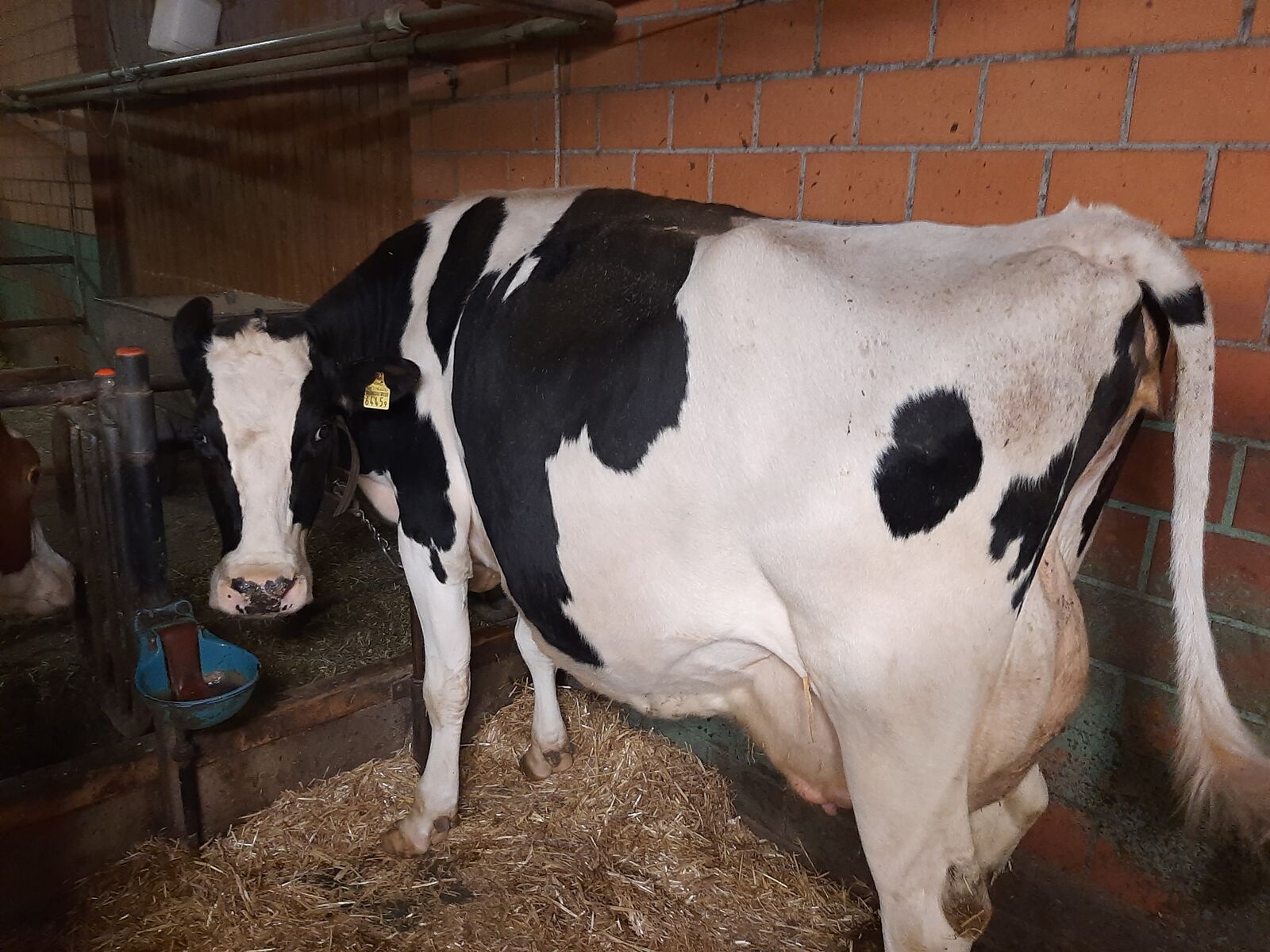 Au Parchy Lookout JAMIRA