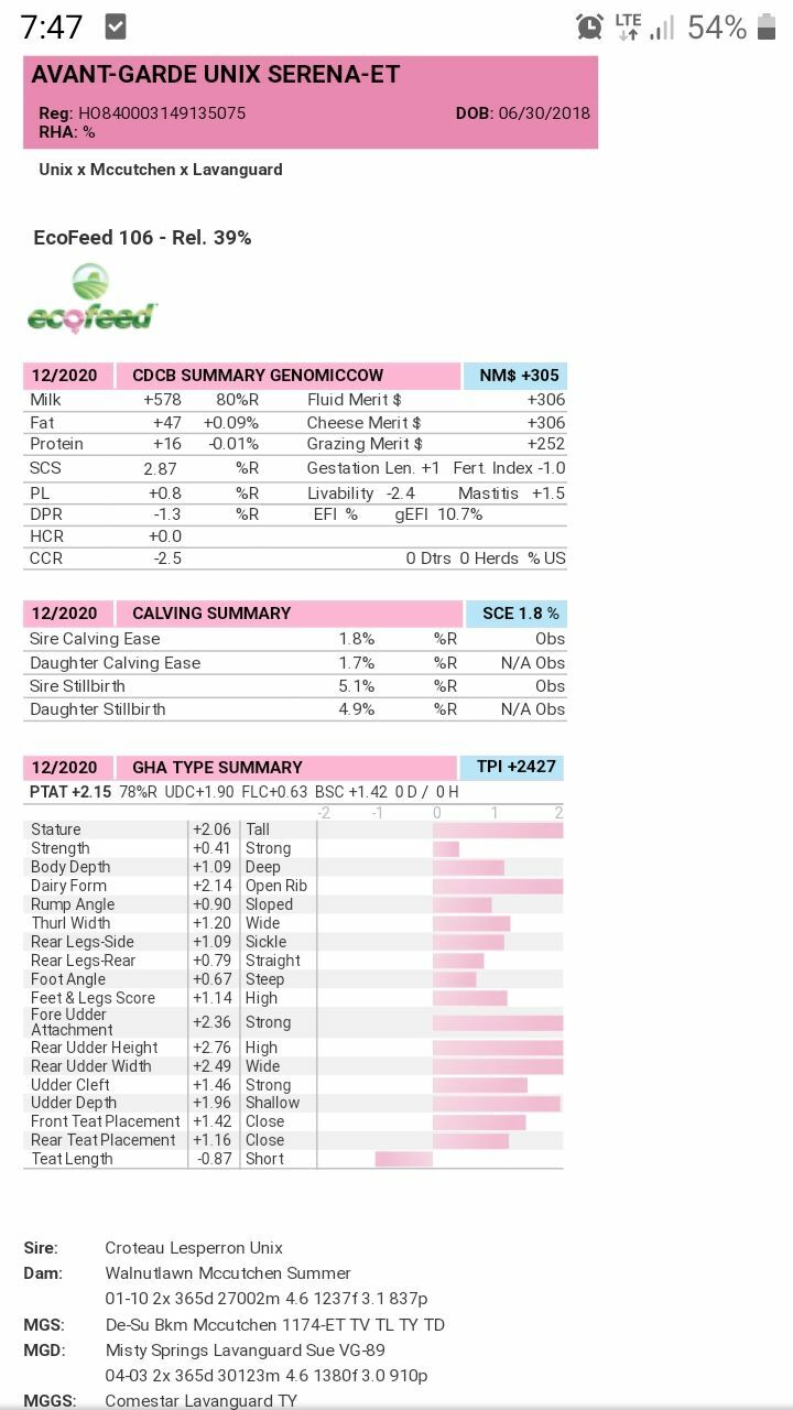 Our Favorite Doc Recognize