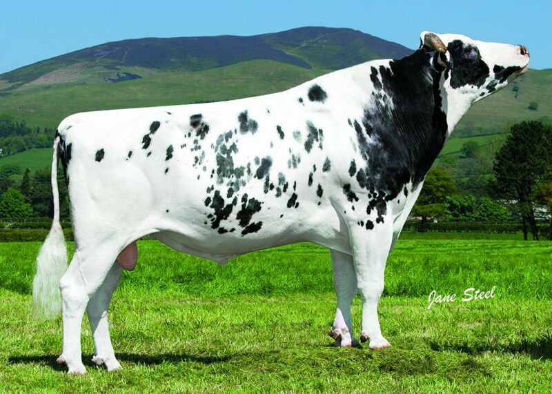 Picston Shottle-et