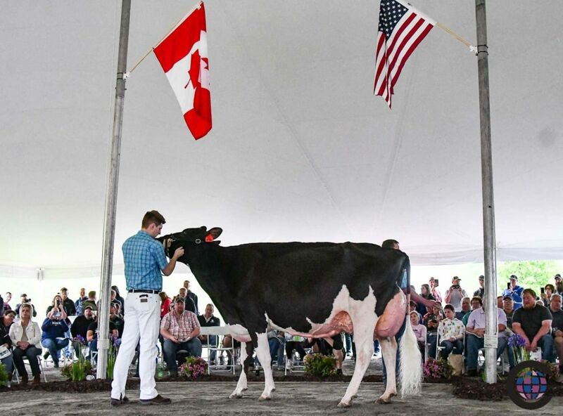 Duckett Magnitude Hannah