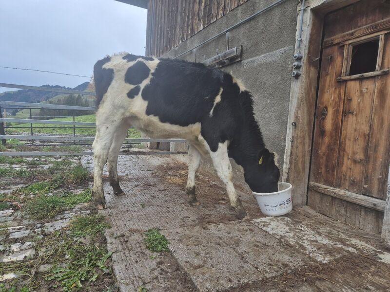 La Valsainte Batching VALSEUSE