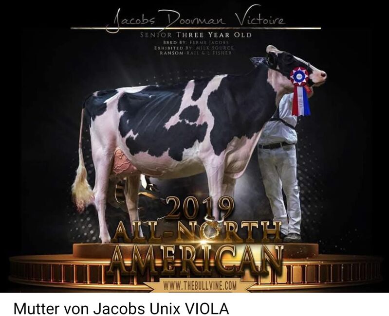 1 Embryon Jacobs Unix VIOLA x X-VICTOR