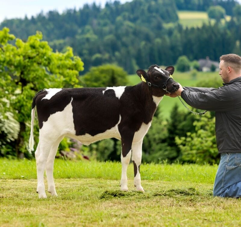 3 Haldimann Troy DRELONA