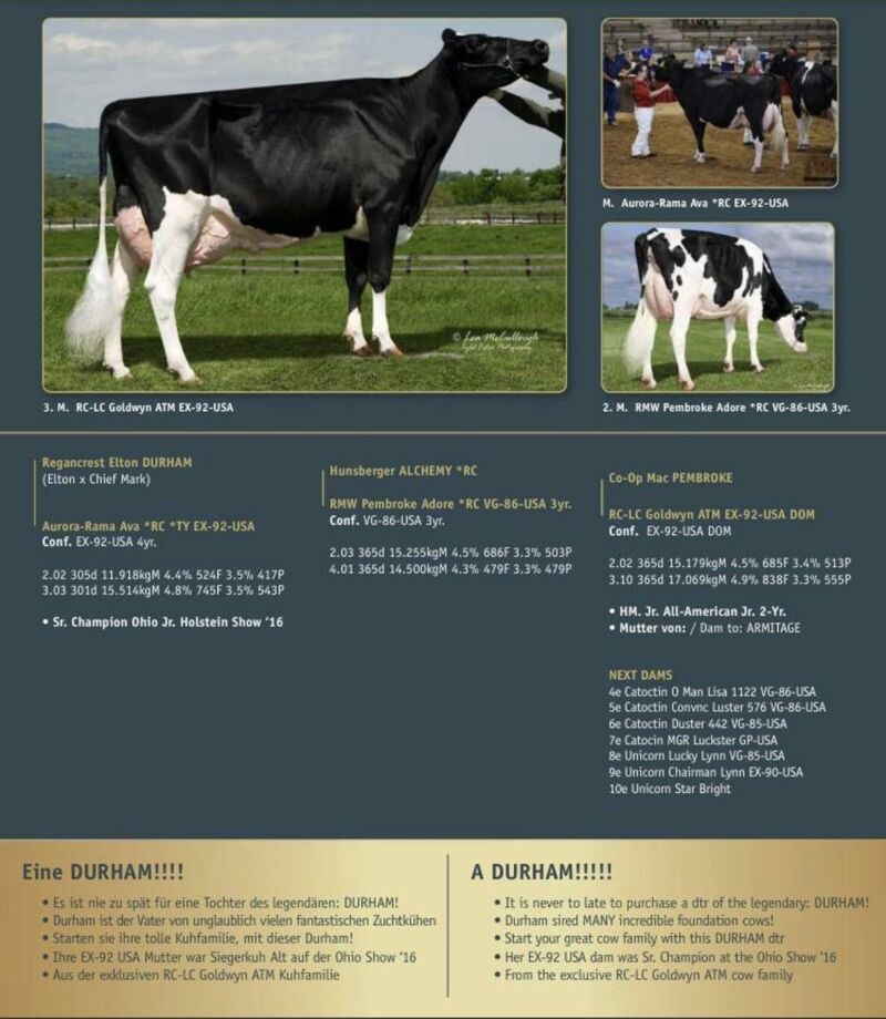 1 Embryo von Regancrest Elton DURHAM